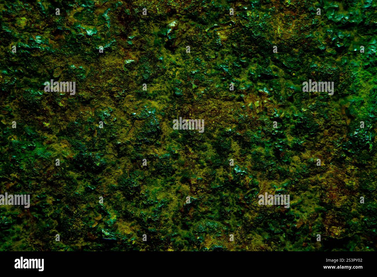 An intricately textured green and brown organic pattern displaying ...