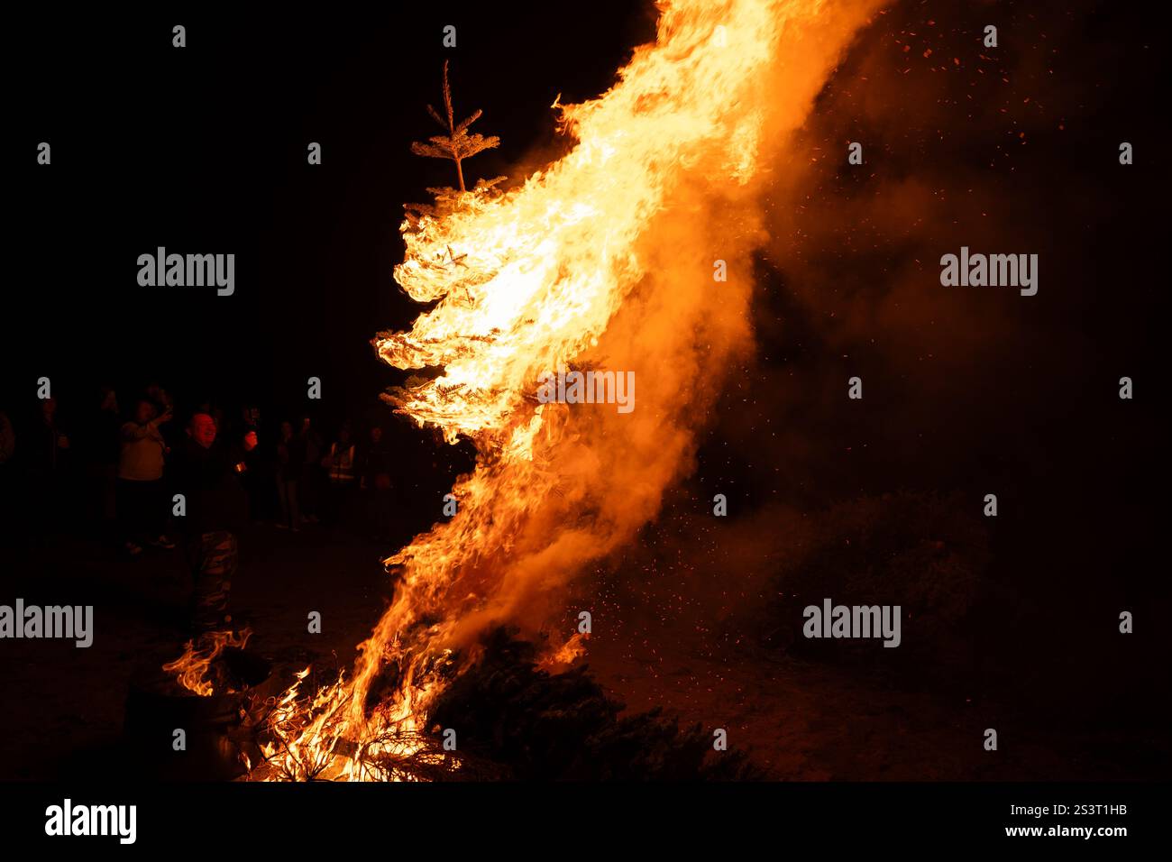 Seattle, USA. 9th Jan, 2025. Trees being burned in the annual Christmas ...