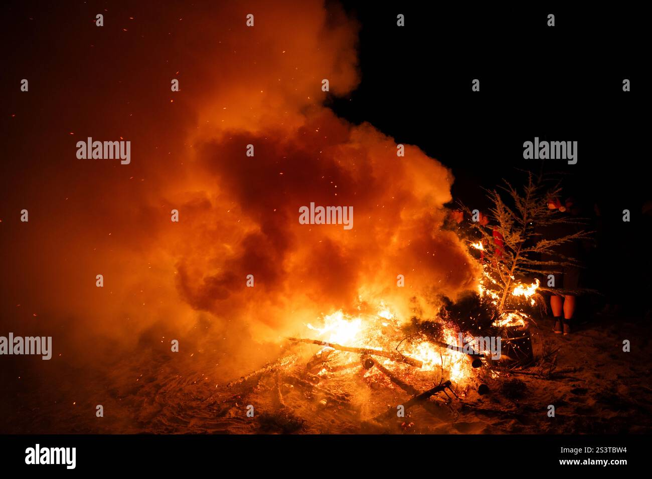 Seattle, USA. 9th Jan, 2025. Trees being burned in the annual Christmas ...