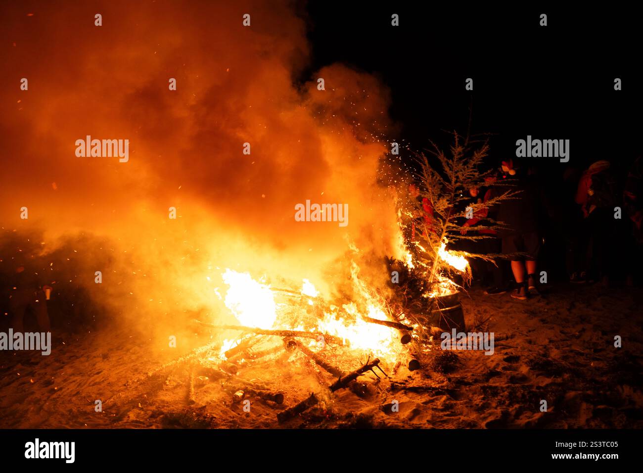 Seattle, USA. 9th Jan, 2025. Trees being burned in the annual Christmas ...
