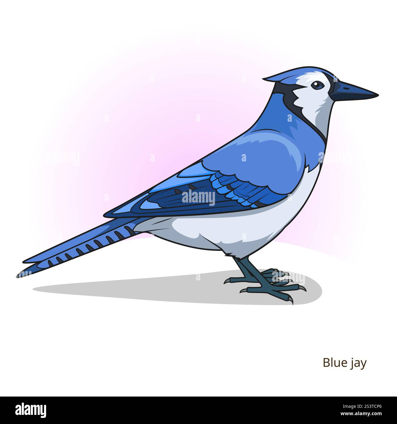 Blue jay color Stock Vector Images - Alamy