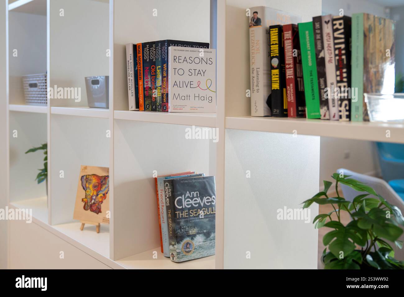 Bookshelf in the lounge area at The Thistle drugs consumption room at ...