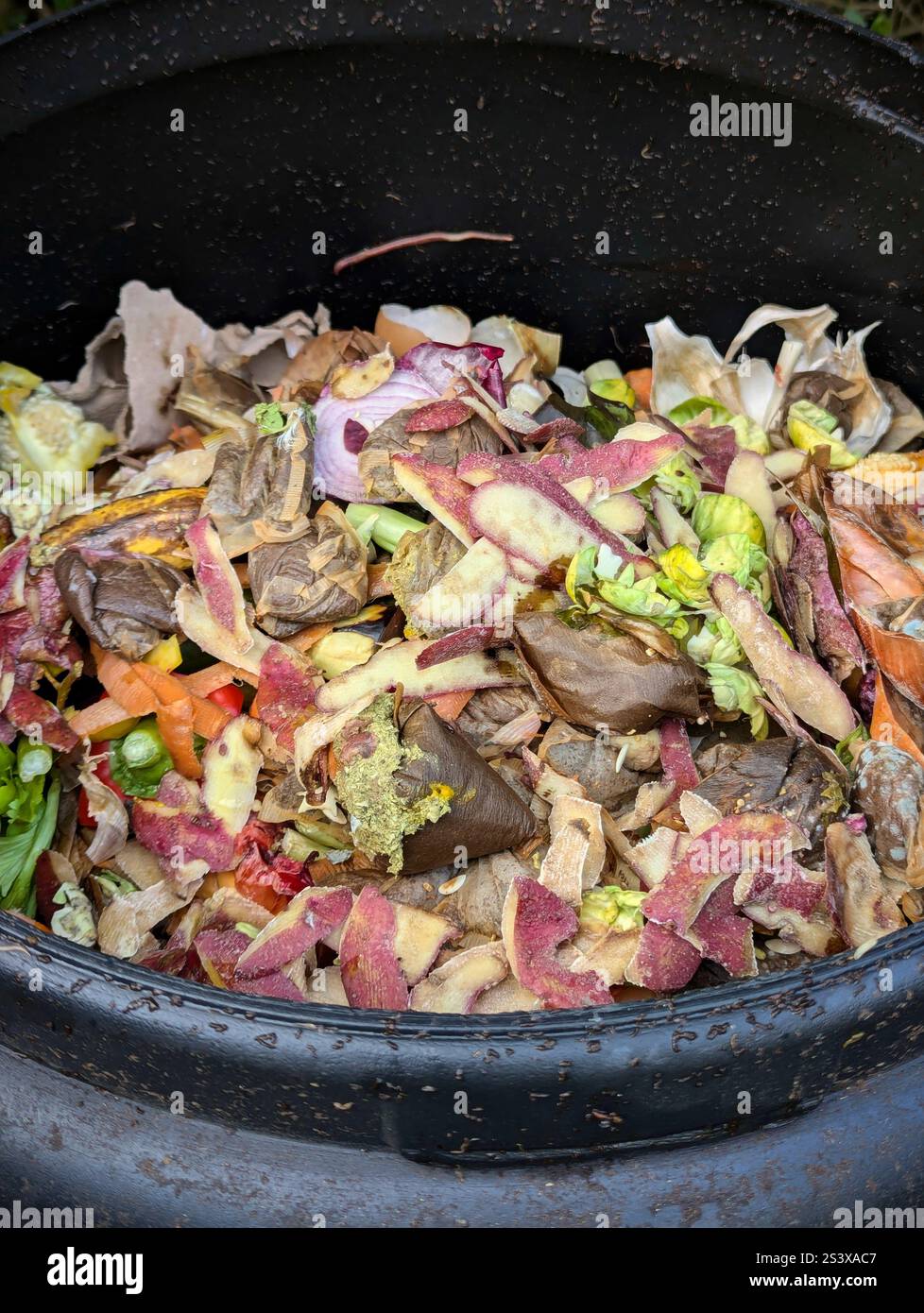 Cutting food waste hi-res stock photography and images - Alamy