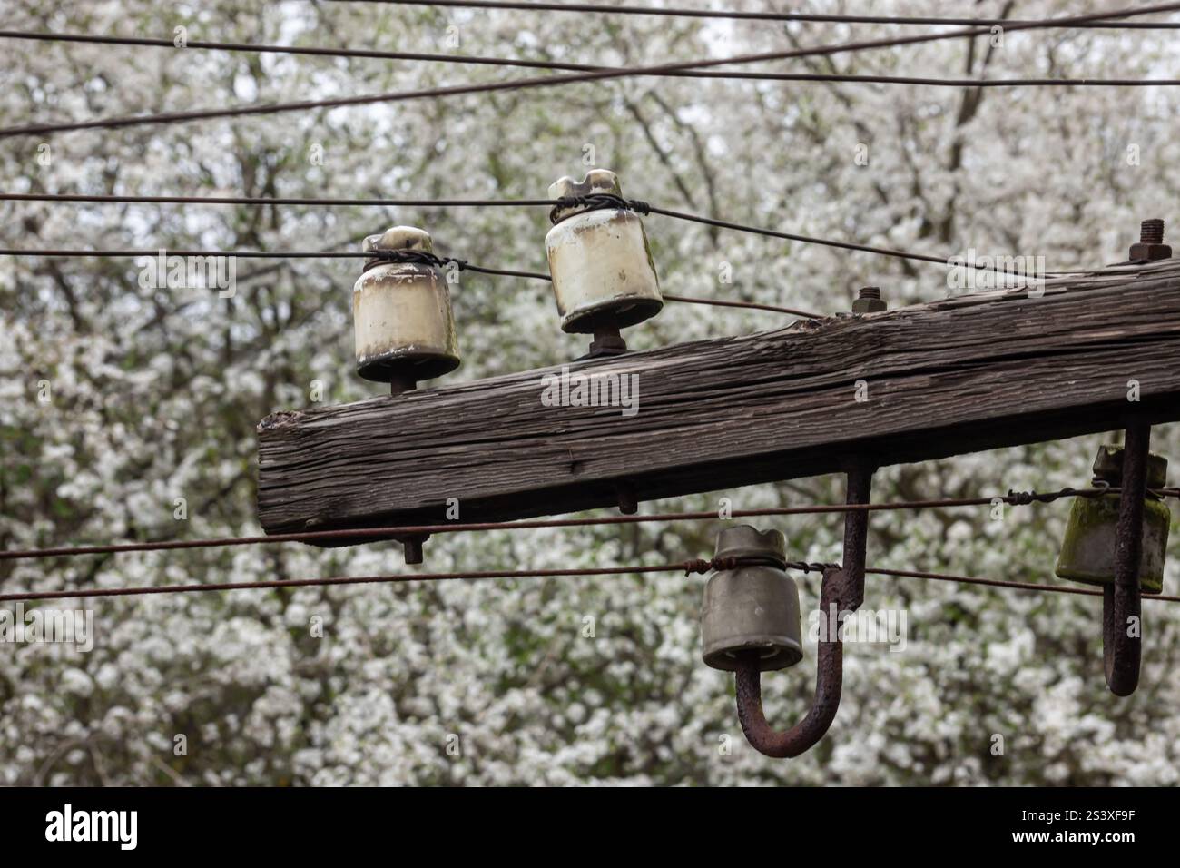 A weathered utility pole with three glass insulators is framed by white ...