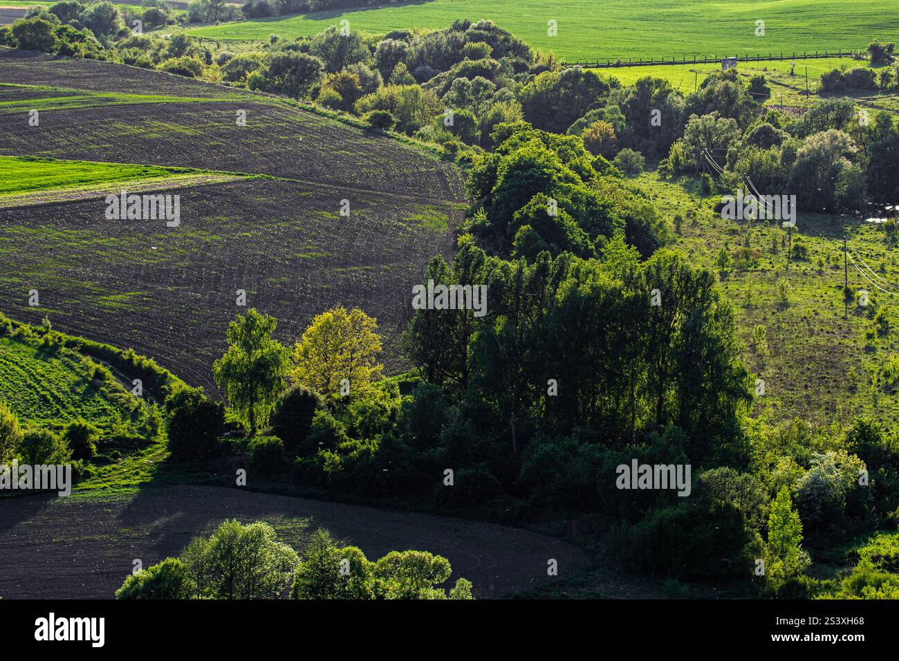 Green fields and trees create a vibrant countryside landscape ...