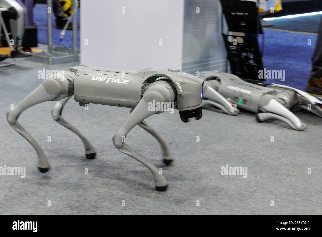 Las Vegas, USA. 09th Jan, 2025. Unitree Go2, a dog-like robot, by ...
