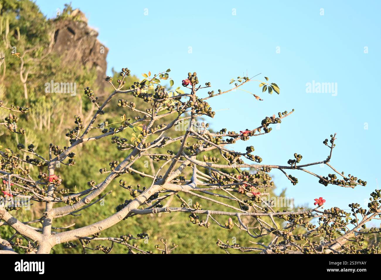 Nestled on a peaceful hill, this charming house is surrounded by the ...