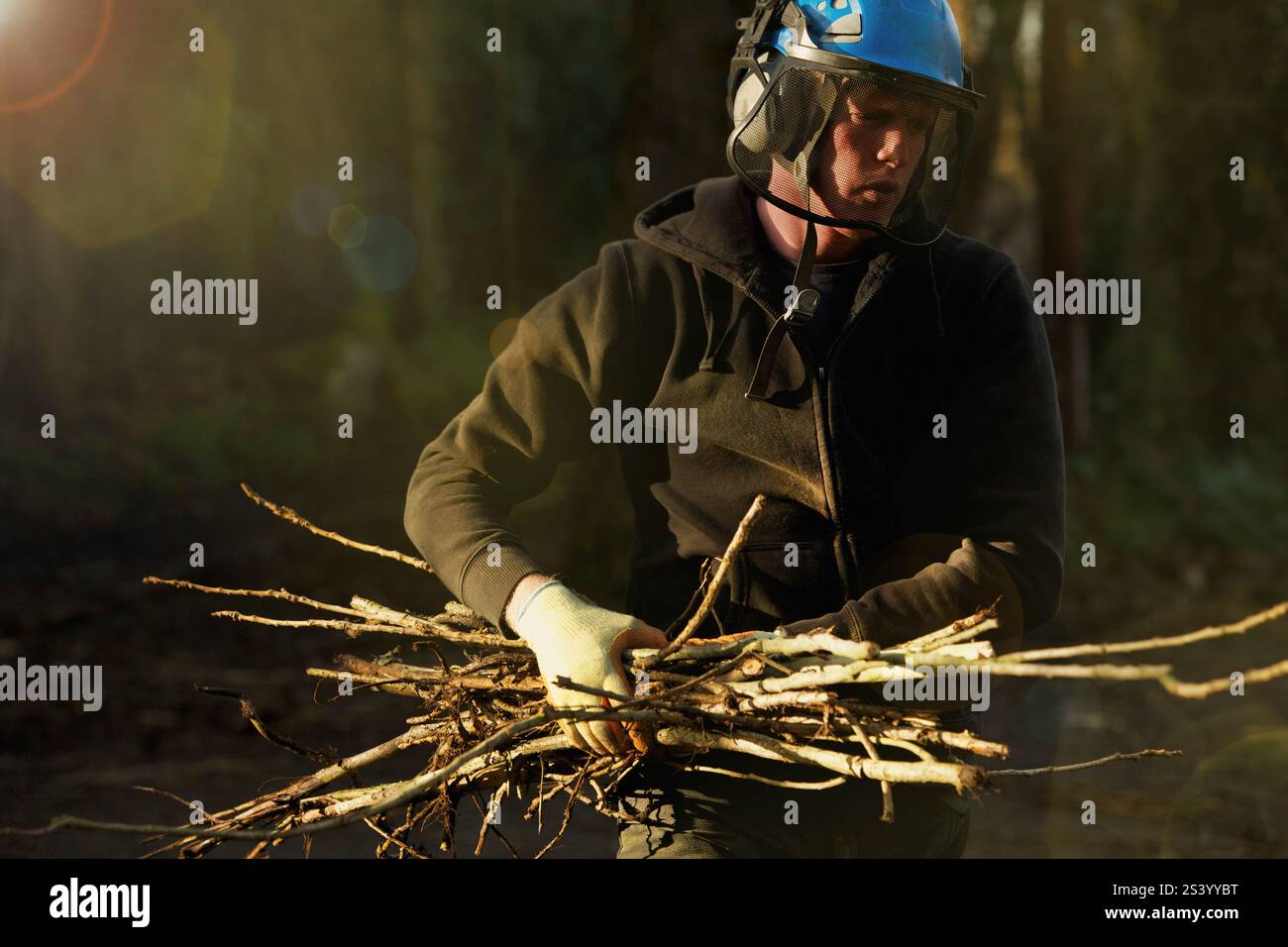 Man carrying tree branch hi-res stock photography and images - Alamy