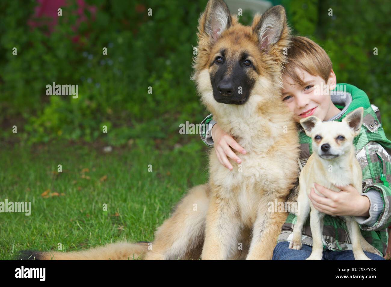 Boy Hugging Two Dogs Stock Photo - Alamy