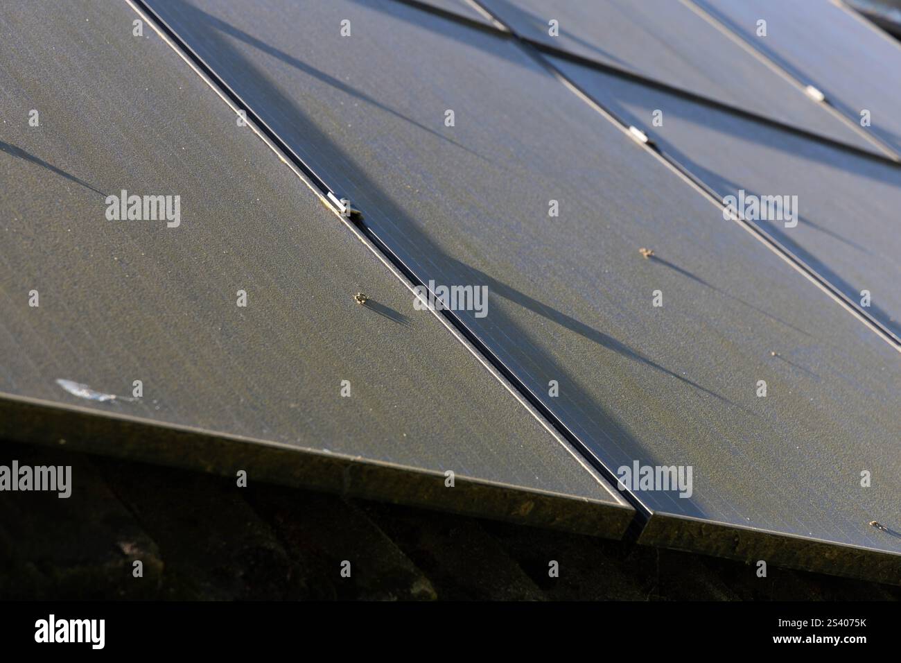 Utrecht, the Netherlands. 19 June 2024. Close up of dirty solar panels ...
