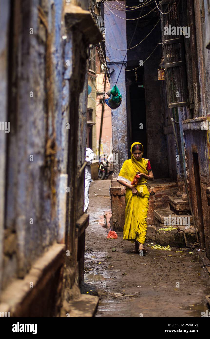 Woman in a colorful sari walks past a cow in a narrow alley of a ...
