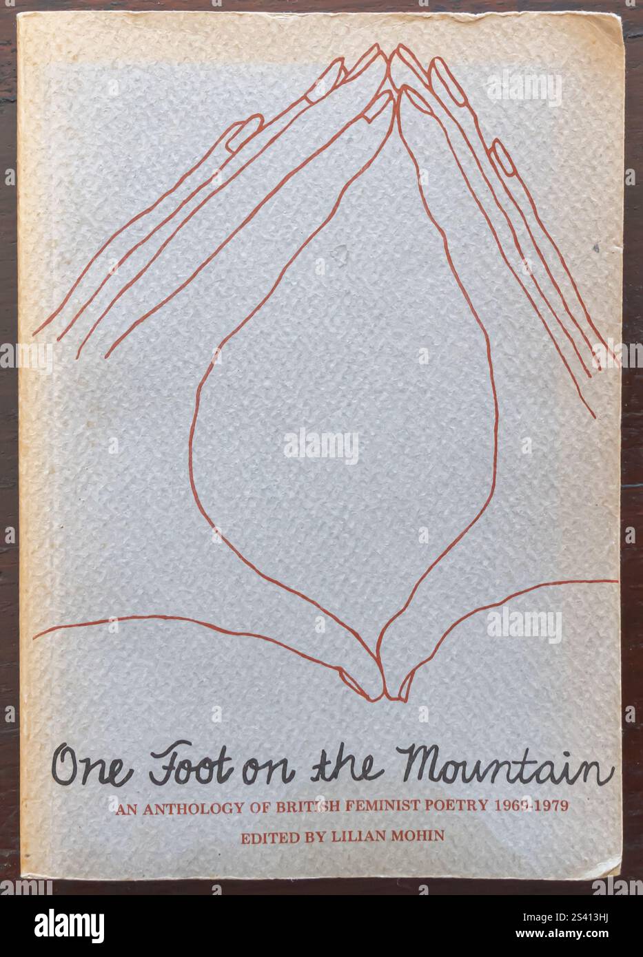 One Foot on the Mountain: An Anthology of British Feminist Poetry, 1969 ...