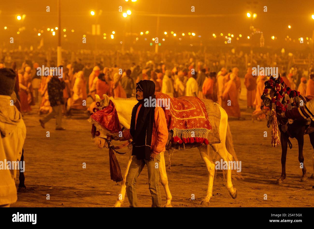 Crowd celebrating cultural festival at night with vibrant lights and ...