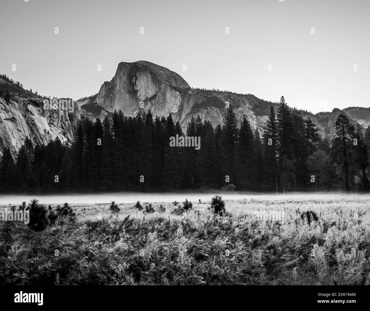 Park in morning mist Black and White Stock Photos & Images - Alamy