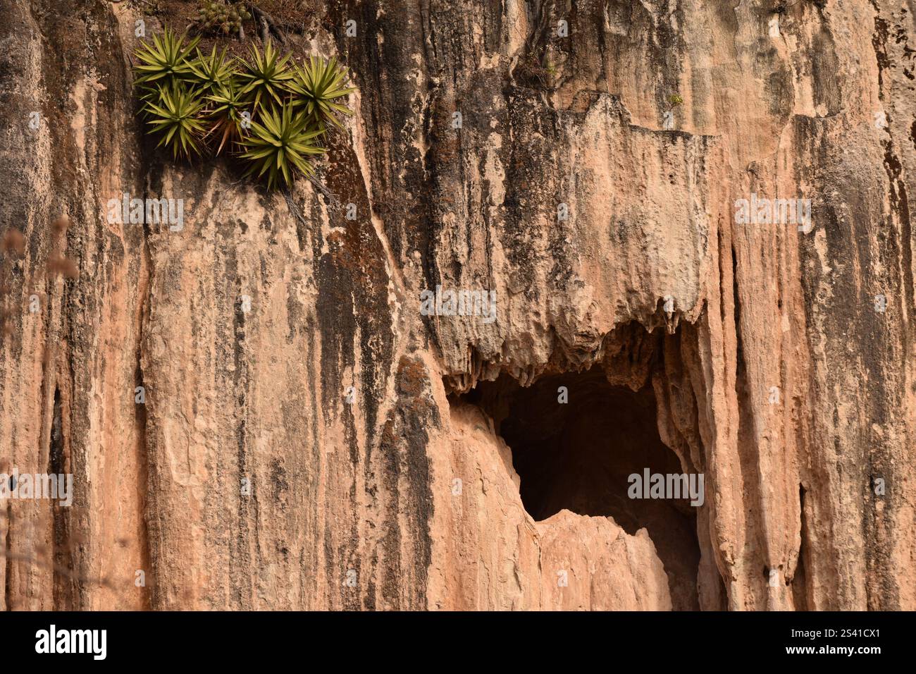 Natural Cave Formation in a Petrified Waterfall Hierve el agua Oaxaca ...