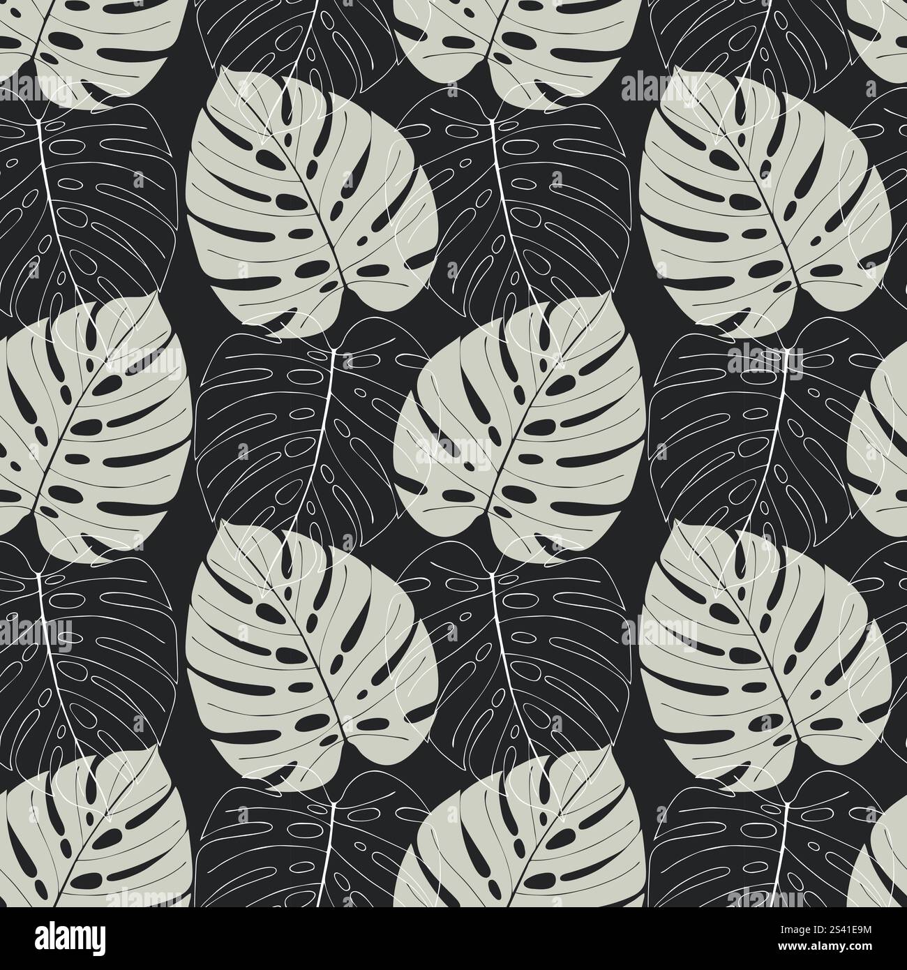 Monstera leaf pattern, white contour leaves and silhouette gray leaves ...