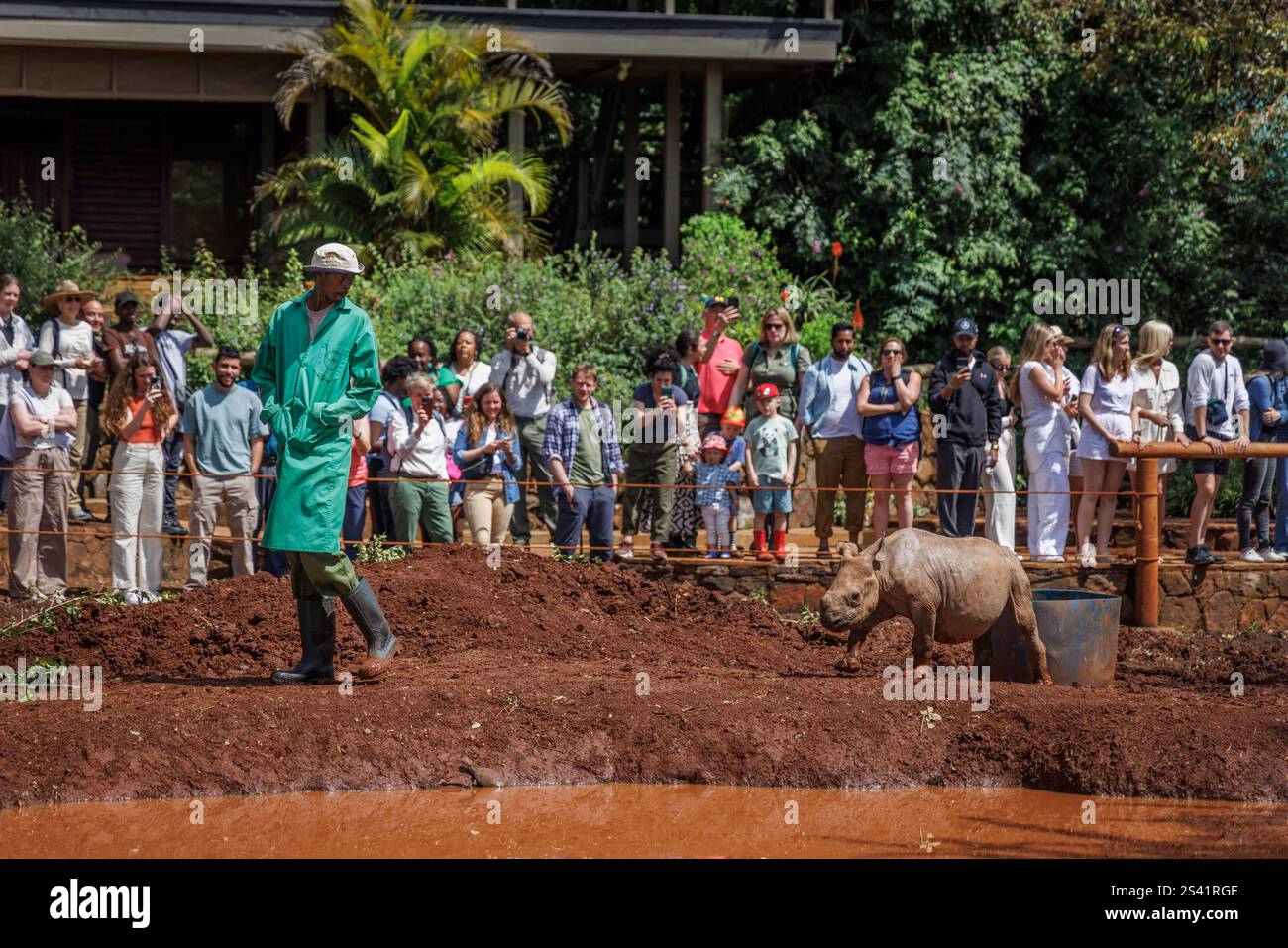 An orphaned baby rhino at the Sheldrick Wildlife Trust in Nairobi Stock ...