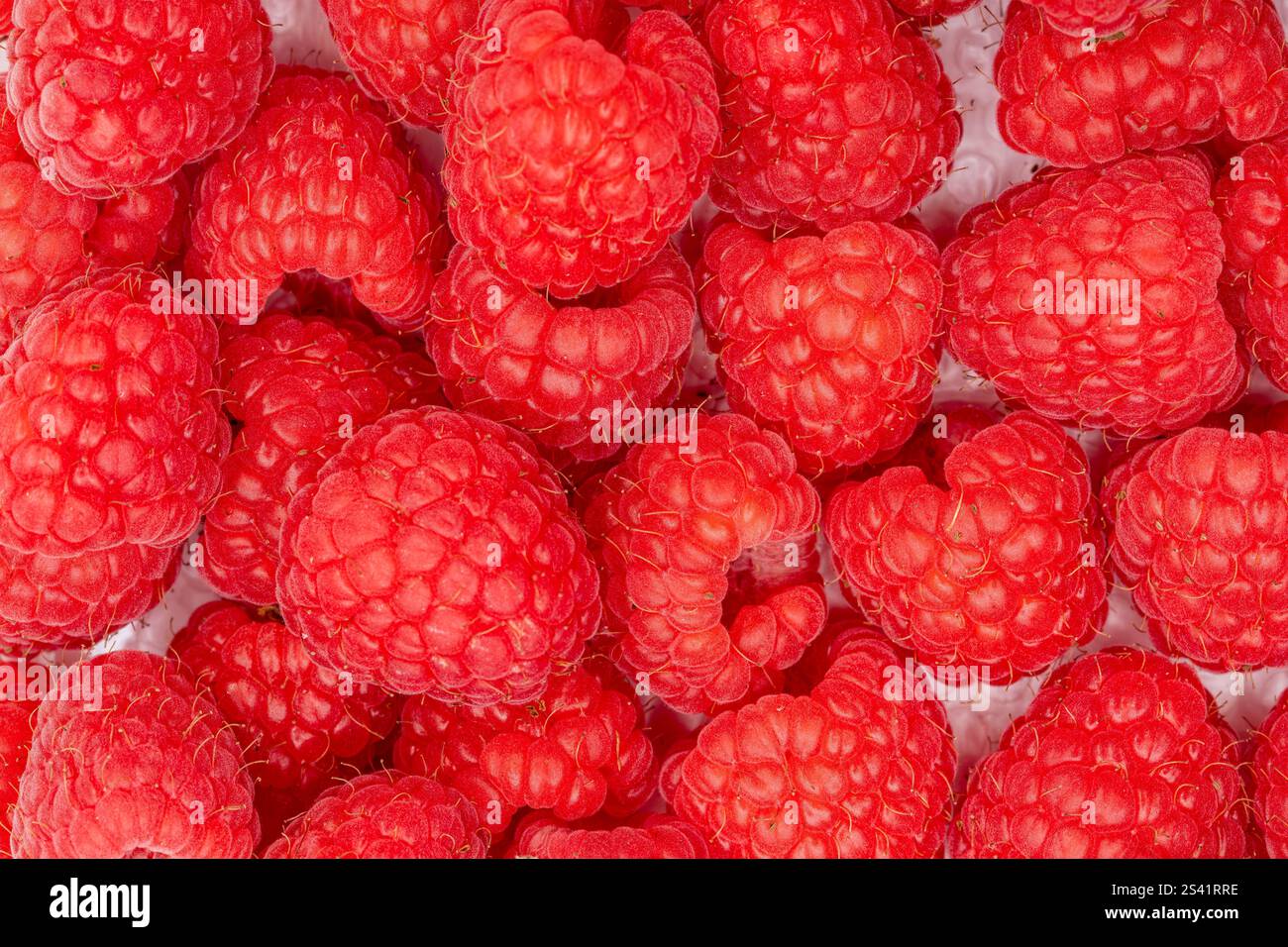 Fresh Raspberry Texture Background for Healthy Eating and Fruit Design ...