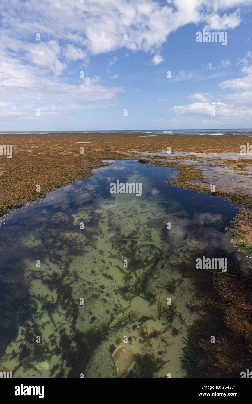 Victoria beach tidal pool hi-res stock photography and images - Alamy
