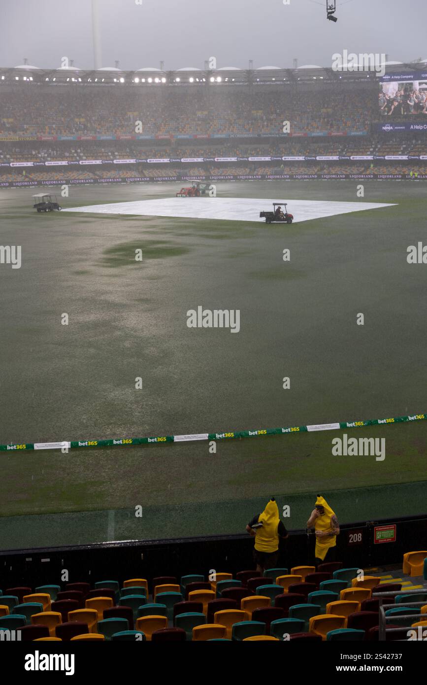 Fans in banana costumes get wet at The Gabba Cricket test Stock Photo ...