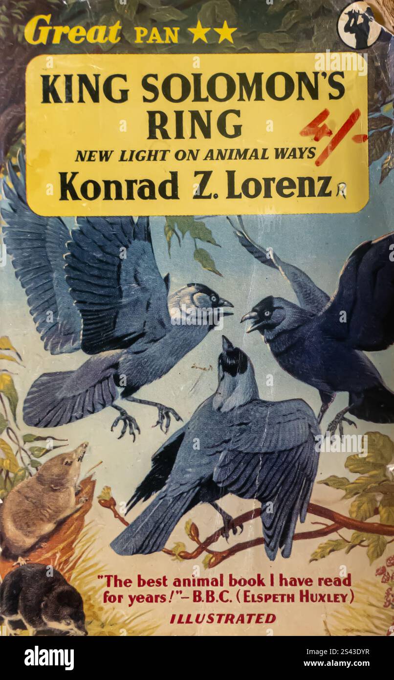 King Solomon's Ring Book by Konrad Lorenz 1949 Stock Photo - Alamy