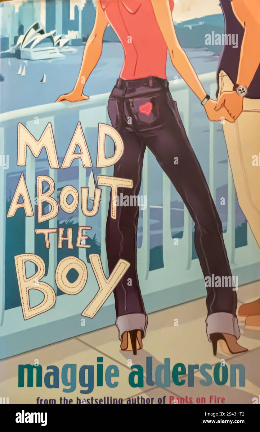 Mad About the Boy Book by Maggie Alderson 2002 Stock Photo - Alamy