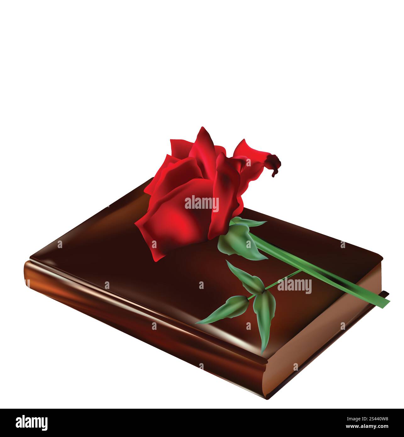 Education book rose flower Cut Out Stock Images & Pictures - Alamy