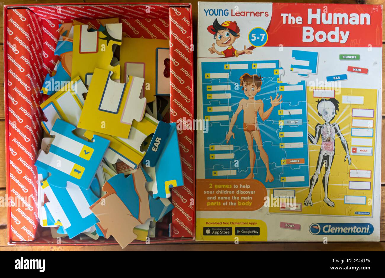 Clementoni Young Learner Human Boy puzzle board game Stock Photo - Alamy