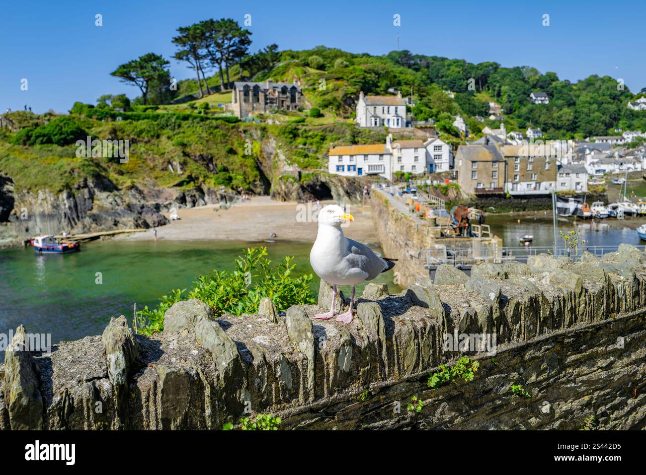 Summeer visit to Polpero and Looe Cornwall UK during 2024 Stock Photo ...