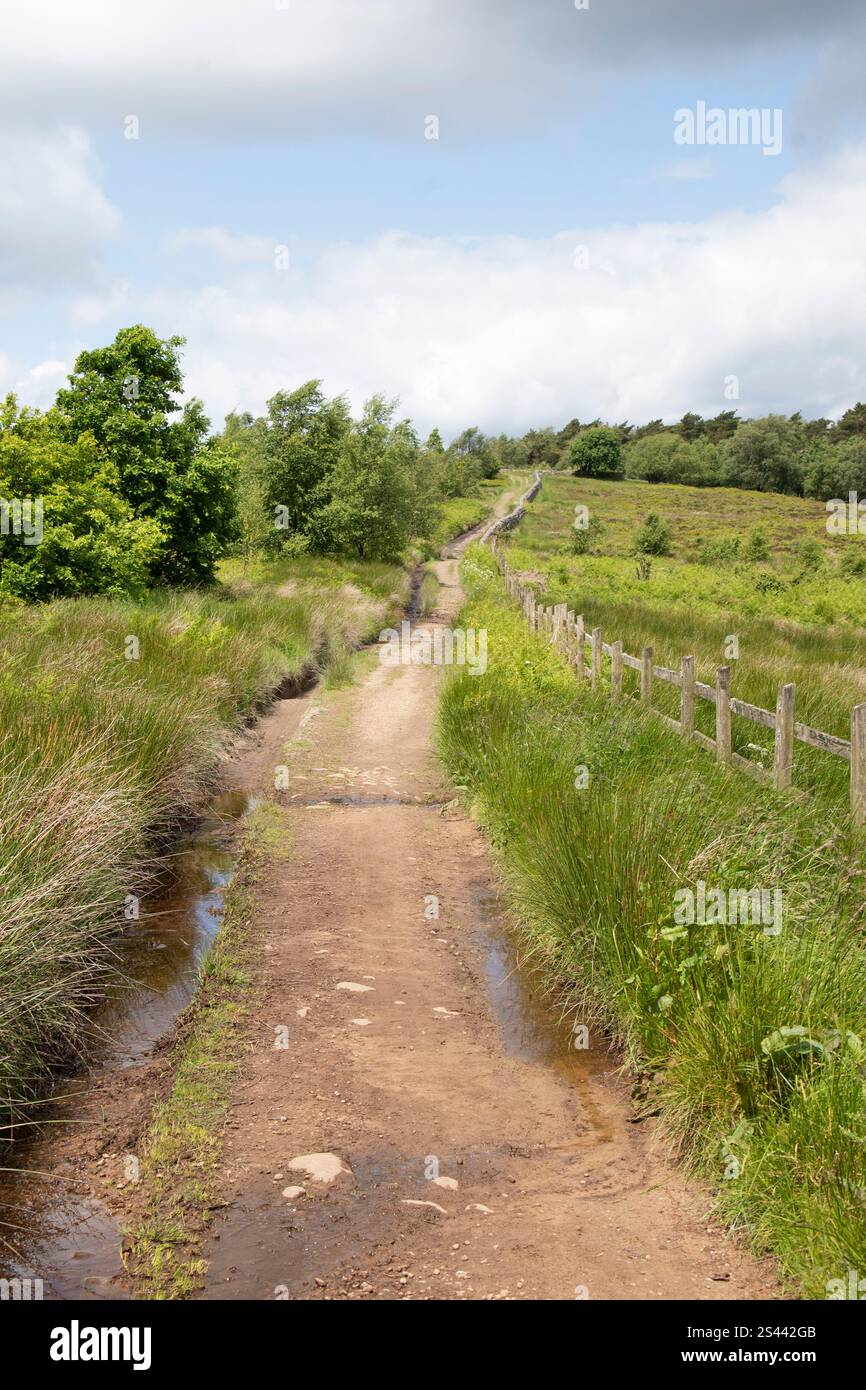 Blacka moor nature reserve sheffield hi-res stock photography and ...