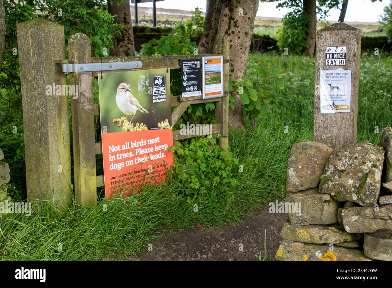 Not all birds nest in trees, Please keep dogs on leads and other ...