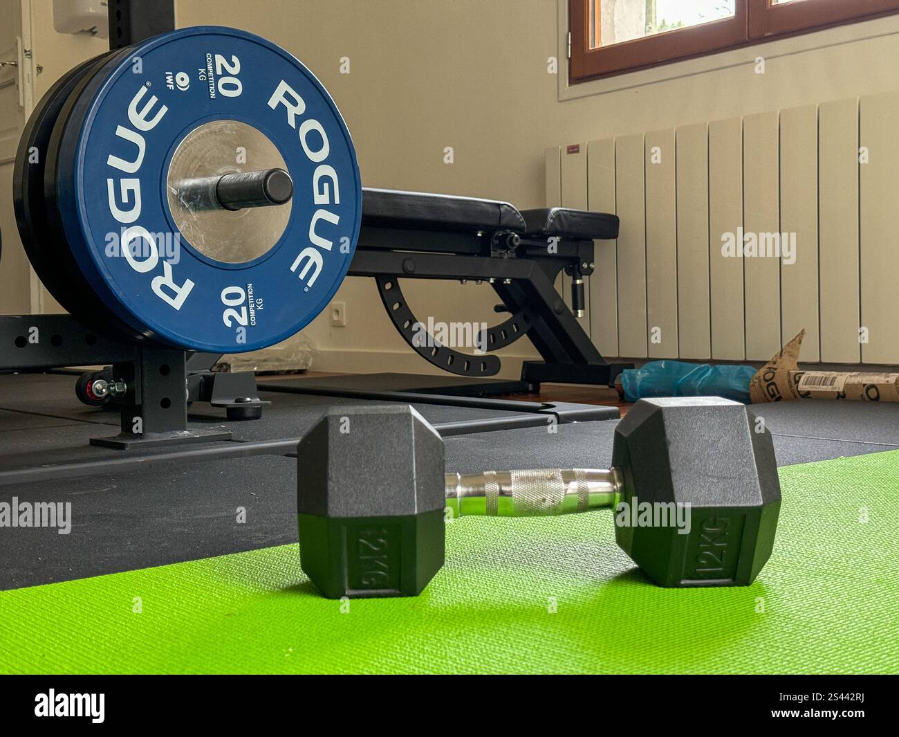 Fitness equipment setup in a modern gym with weights and a bench on a ...