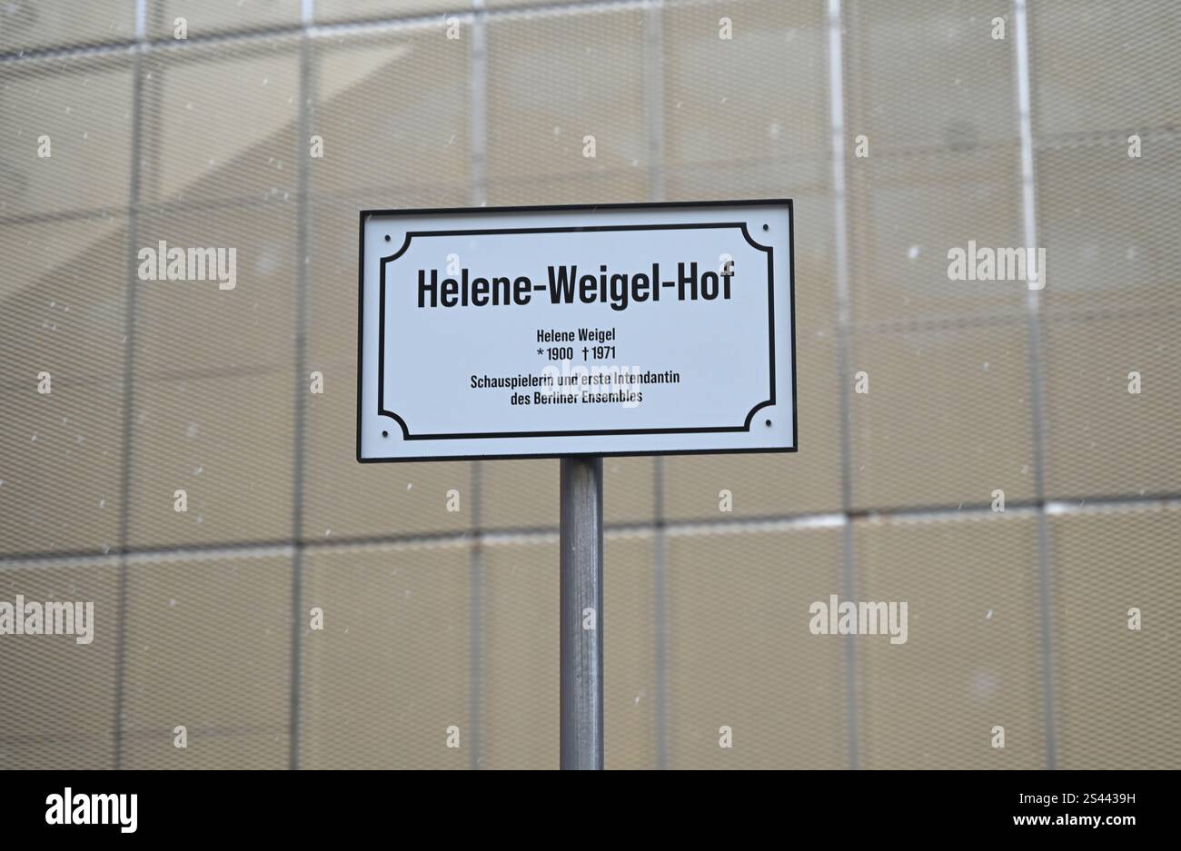 10 January 2025, Berlin: To mark the 125th birthday of the actress H ...