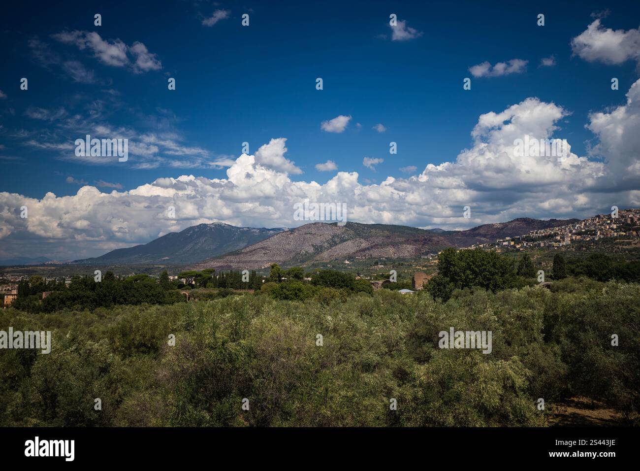 Italian landscape from the Roccabruna tower Stock Photo - Alamy