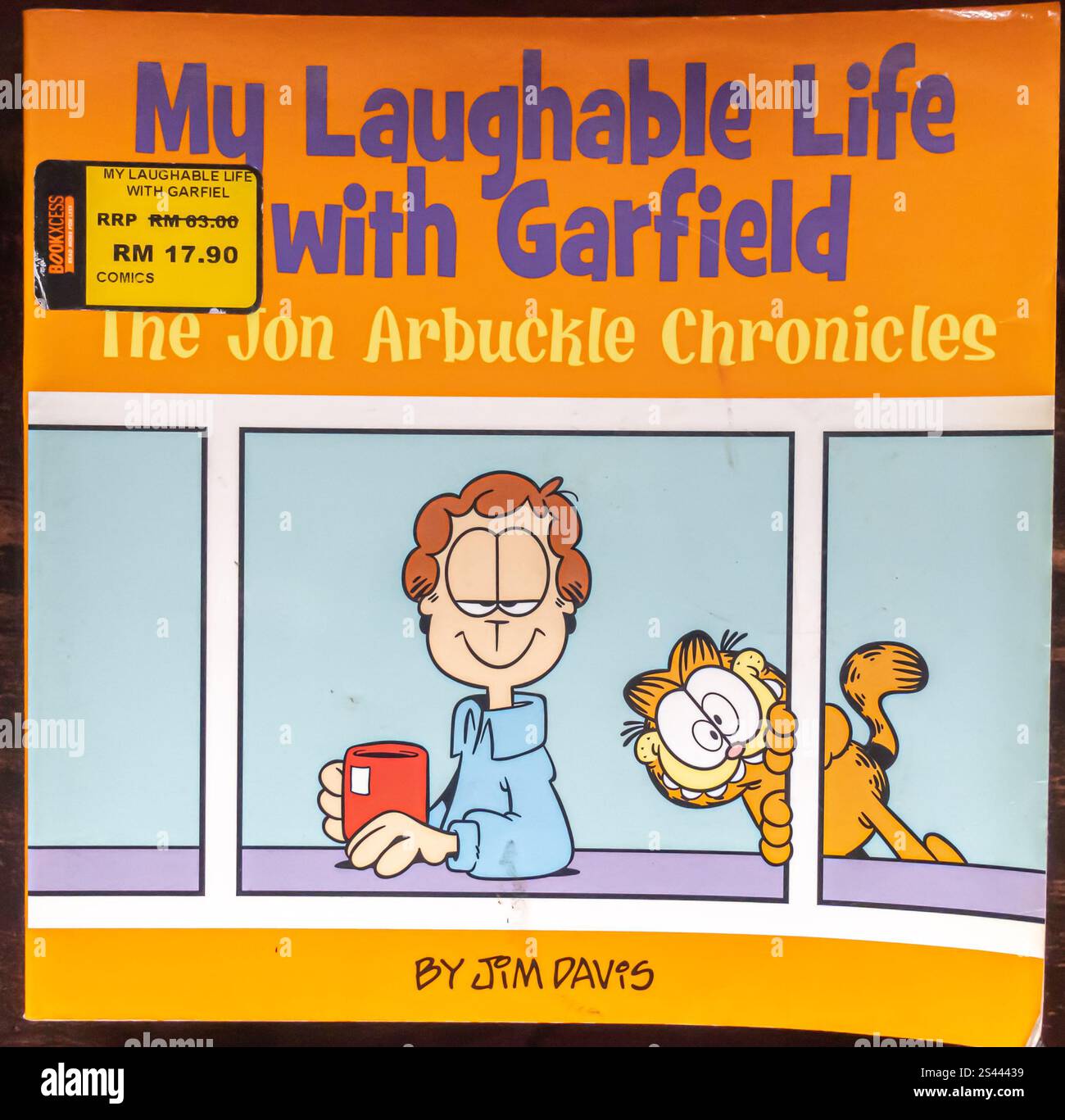 My Laughable Life with Garfield: The Jon Arbuckle Chronicles by Jim Davis 2012 Stock Photo - Alamy