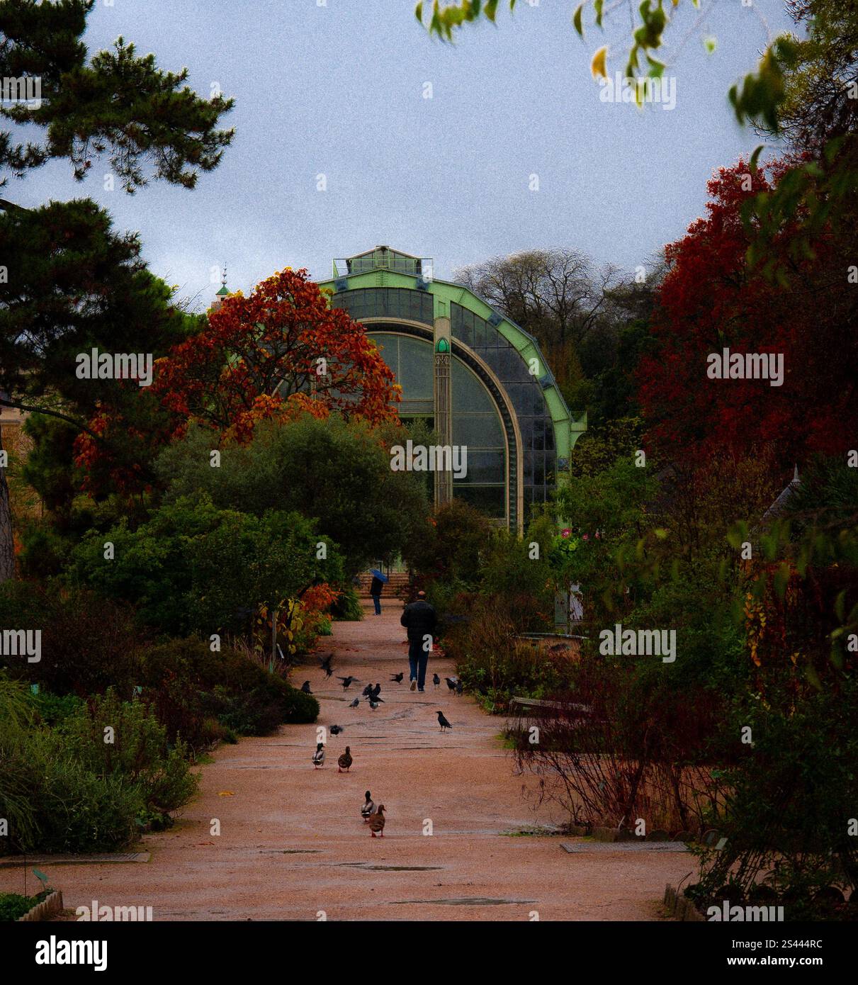 Autumn stroll through a serene garden with colorful foliage and curious ...