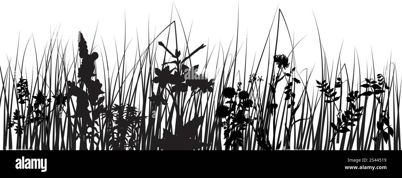 Vector grass silhouettes backgrounds for design use Stock Vector Image ...