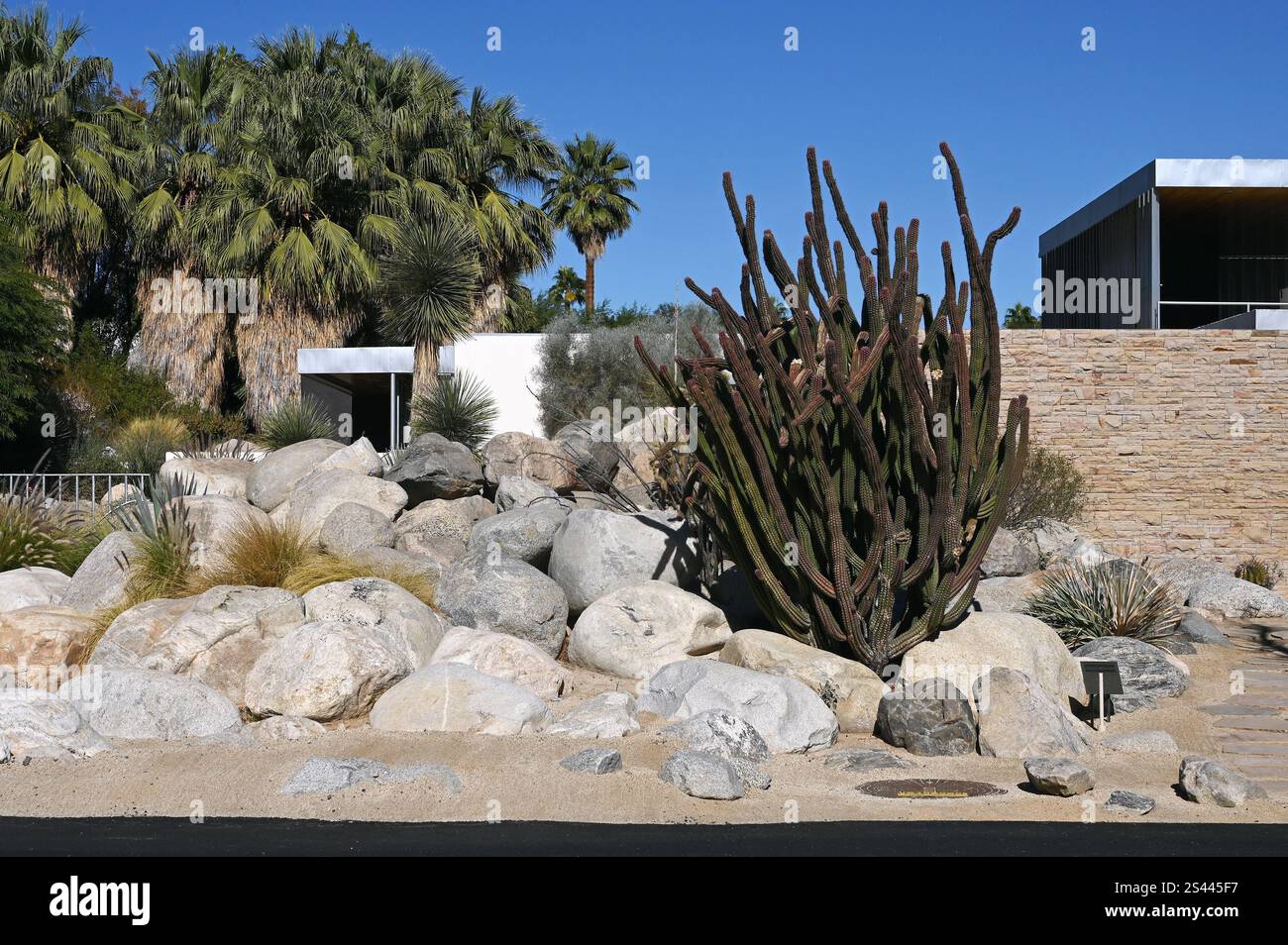 Kaufmann House, Midcentury modernism architecture in Palm Springs ...
