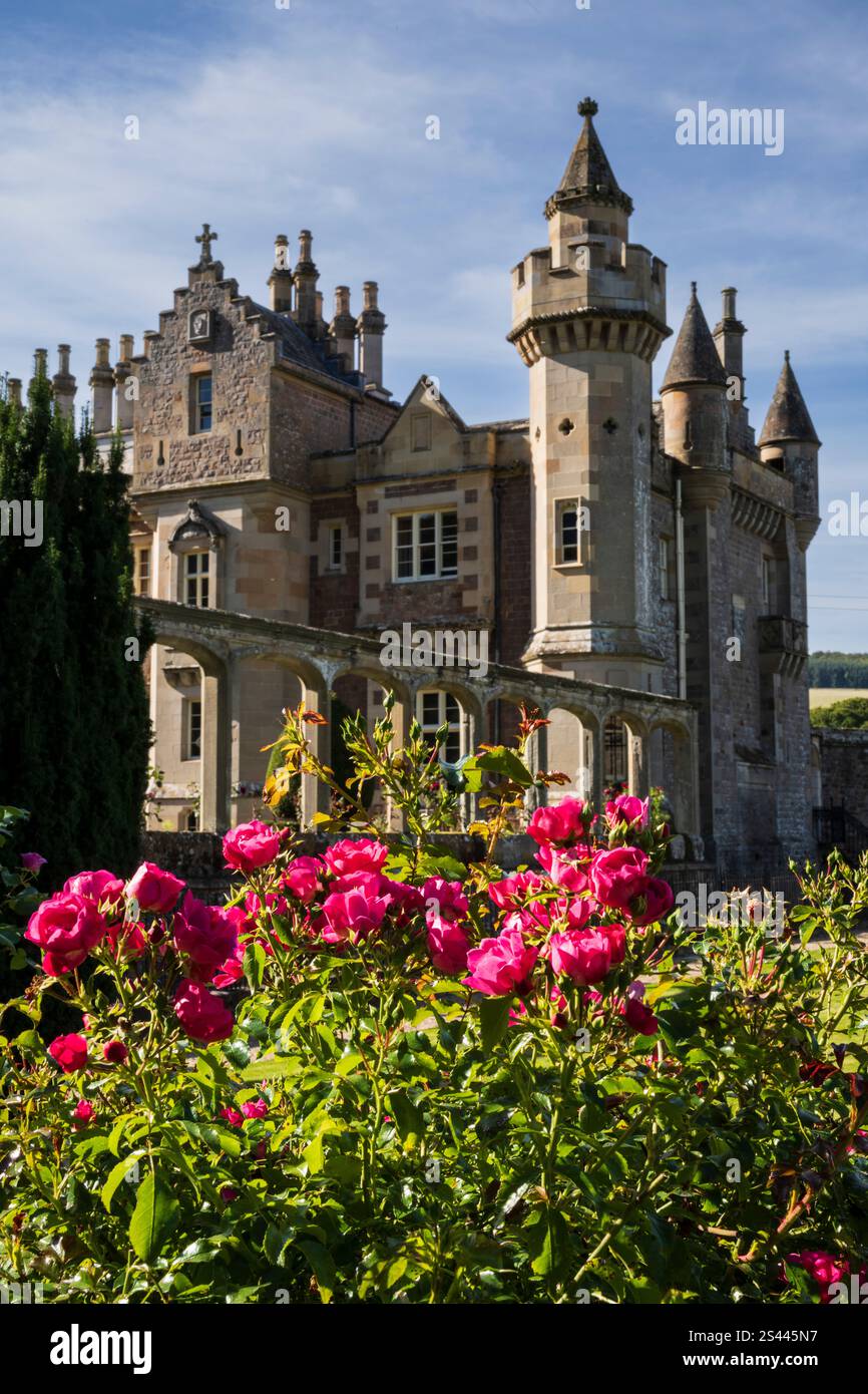 Scottish Borders flowers - roses in the garden at Abbotsford, Melrose ...