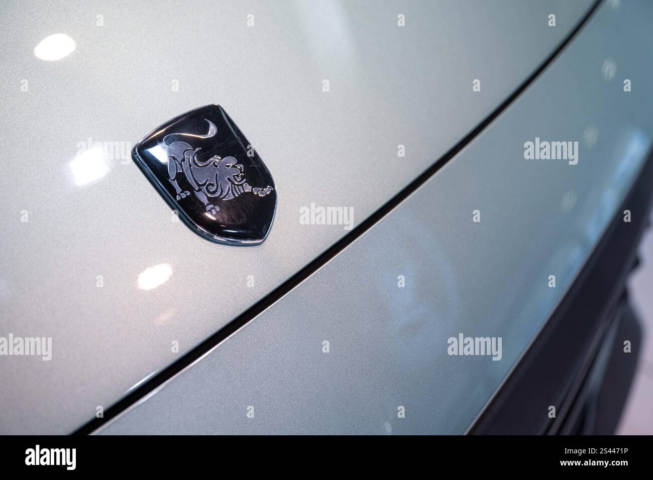 Brussels, Belgium. 10th Jan, 2025. The logo of Chinese car brand ...