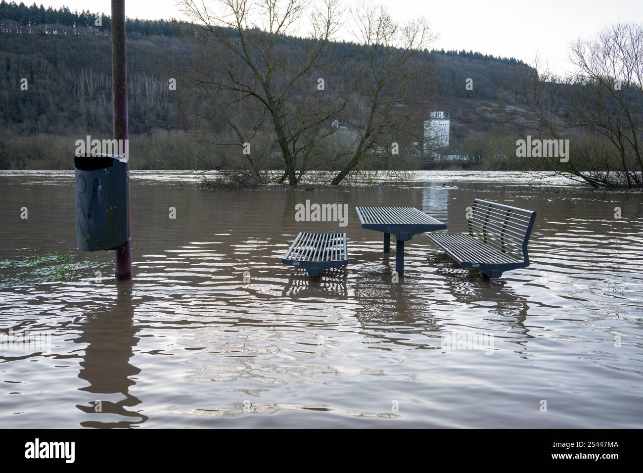 Trier, Germany. 10th Jan, 2025. The Moselle has flooded the riverside ...