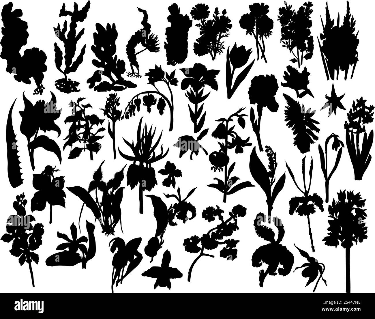 Big collection of different plants silhouette Stock Vector Image & Art ...