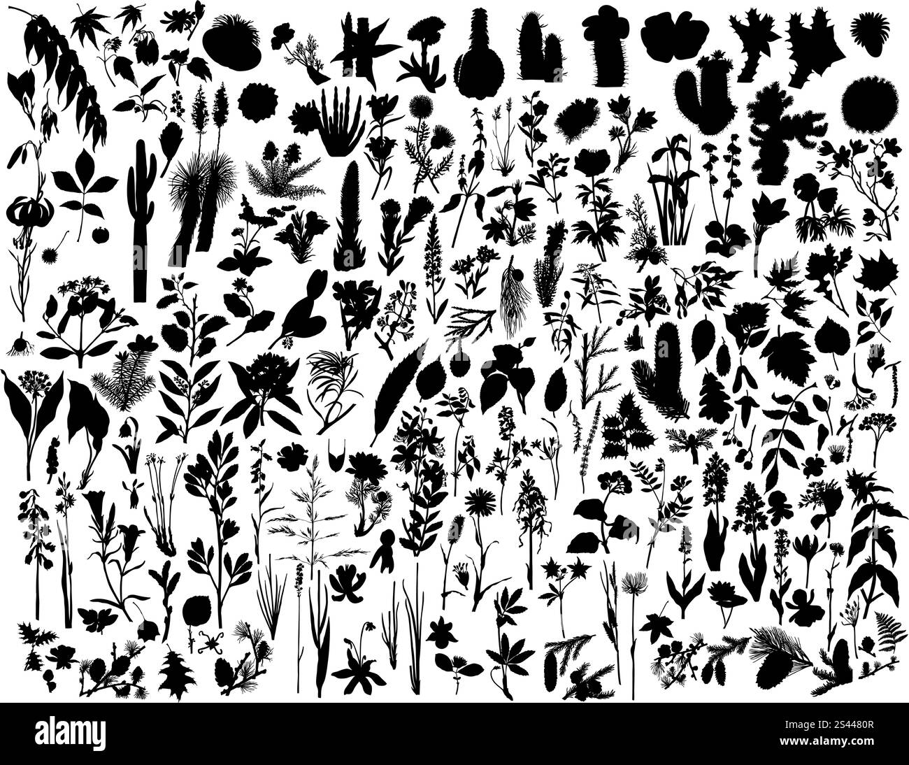 Big collection of different vector plants silhouettes Stock Vector ...