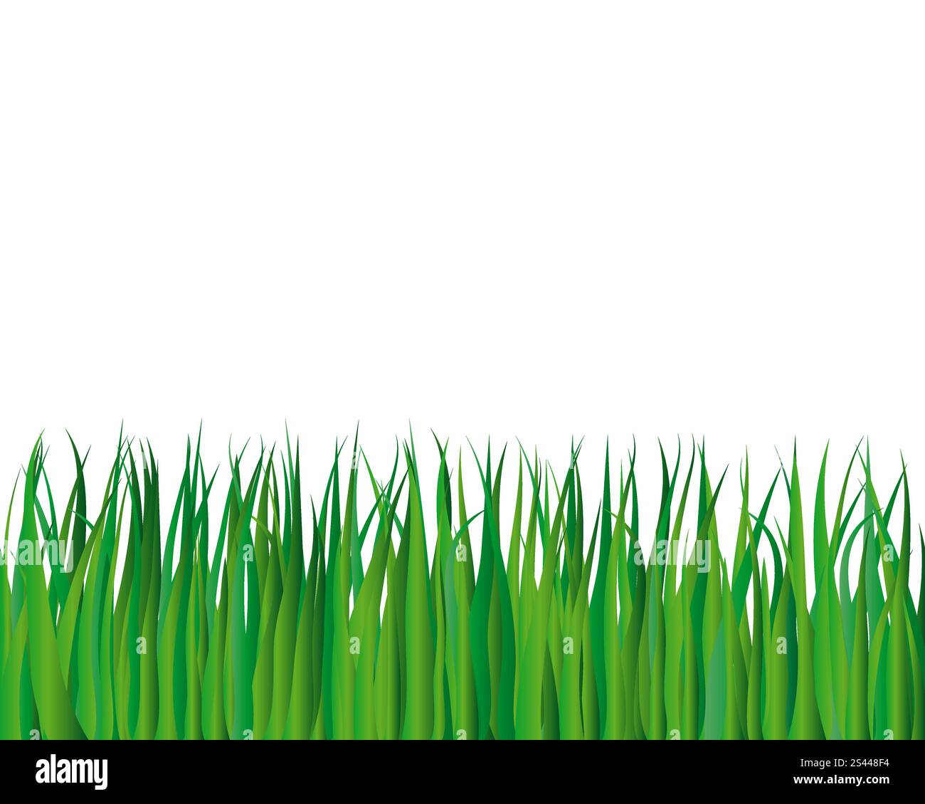 Vector illustration grass background for design usage Stock Vector ...