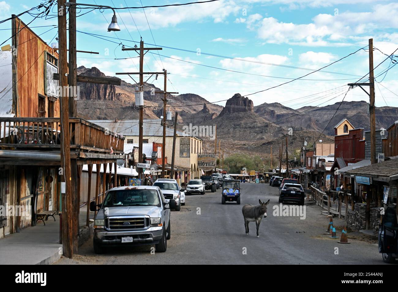 Former gold mining town Oatman with free-range donkeys on the Route 66 ...