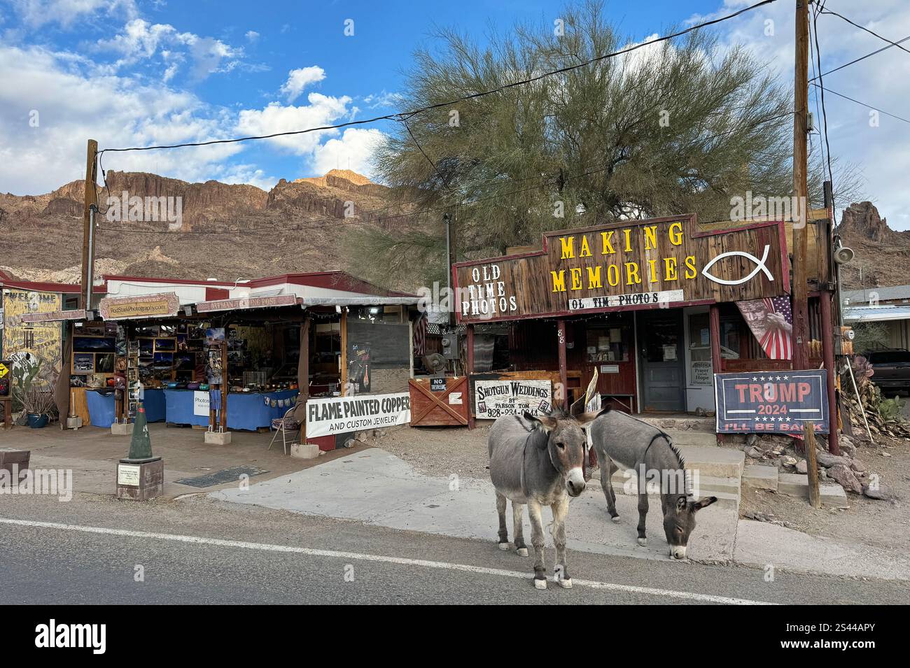 Former gold mining town Oatman with free-range donkeys on the Route 66 ...