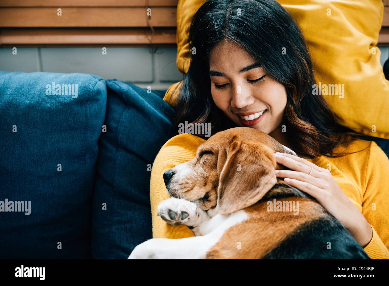 In the living room, a woman and her Beagle dog nap on the sofa ...