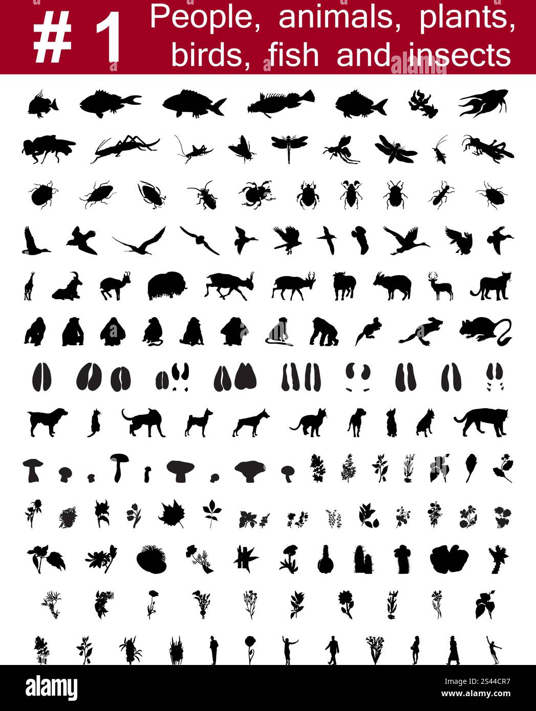 Big collection of collage vector silhouettes of people, animals, birds ...