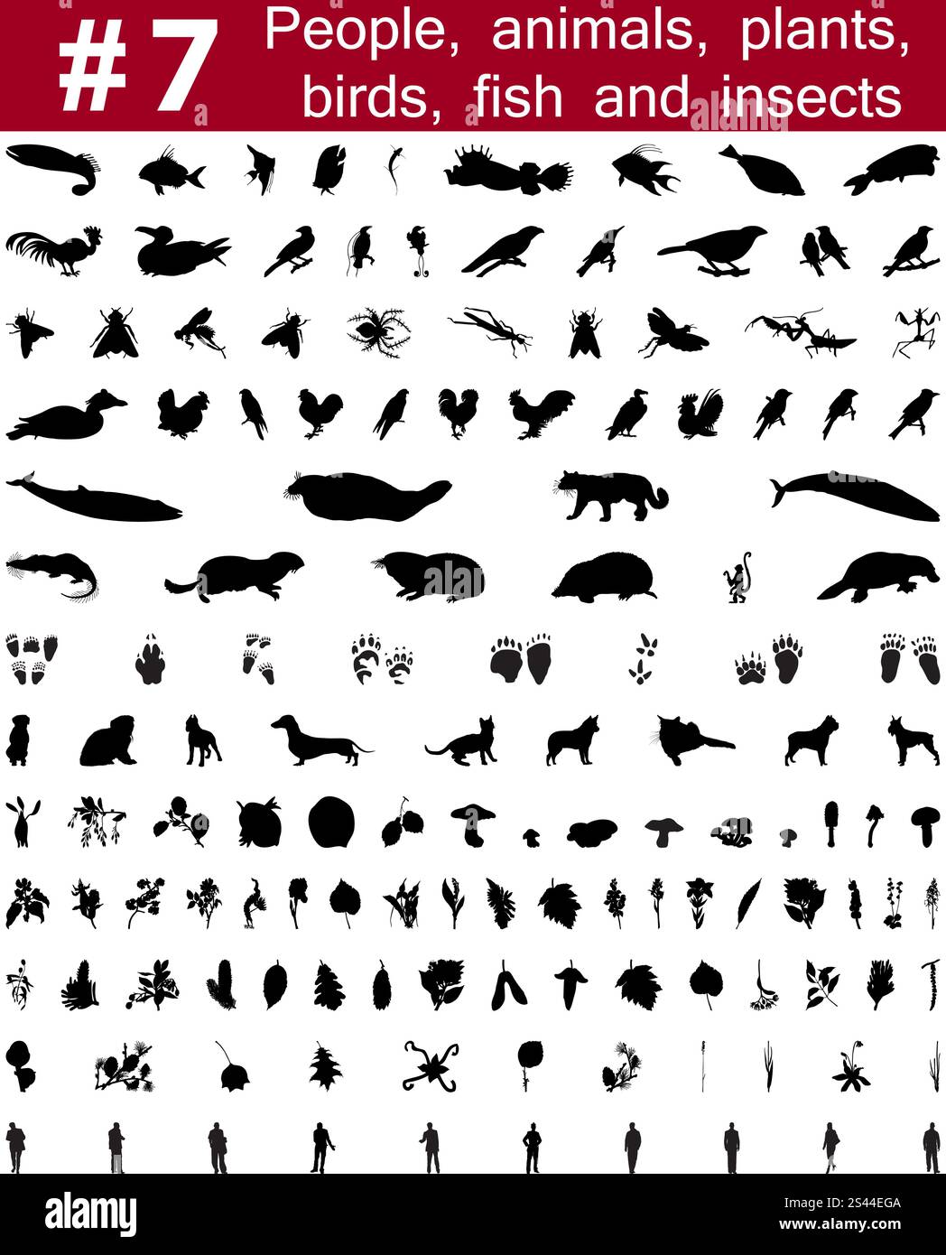 Big collection of collage vector silhouettes of people, animals, birds ...
