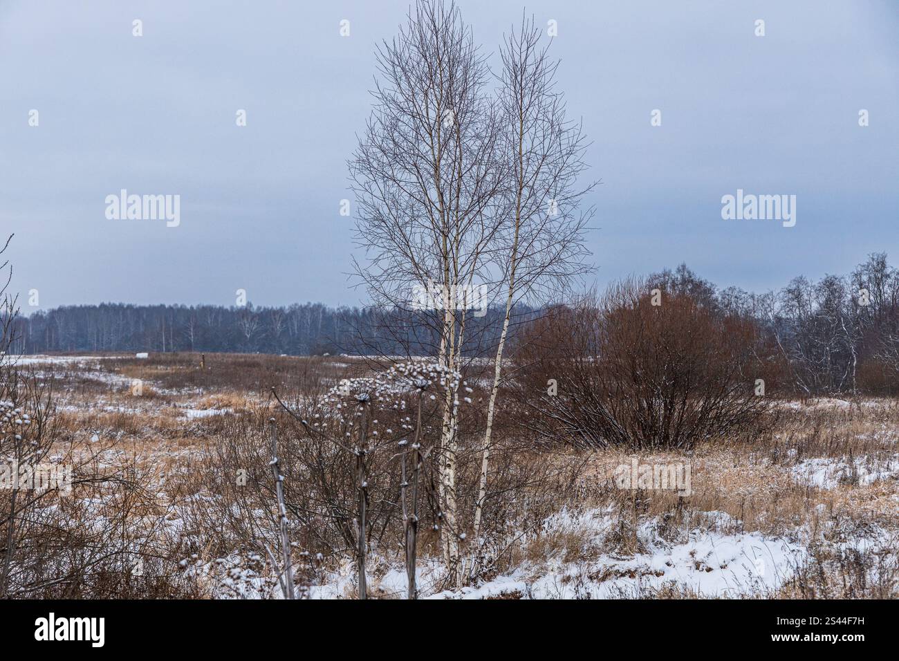 November landscape with first snow Stock Photo - Alamy